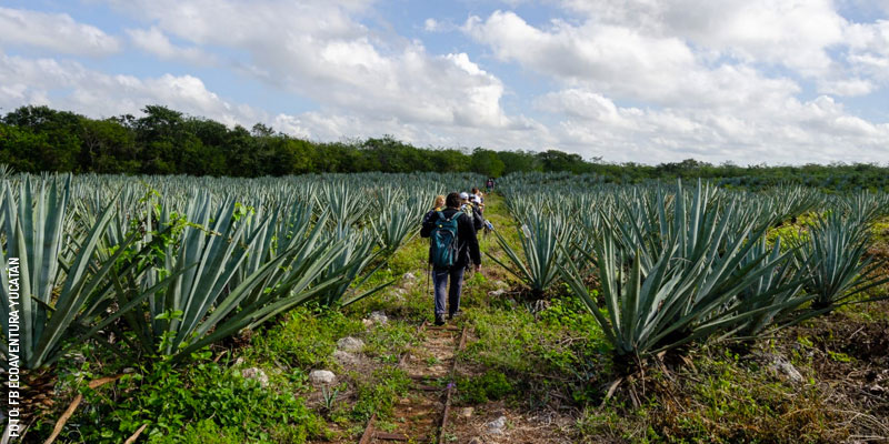 Hiking in Yucatán: A Beginner's Guide