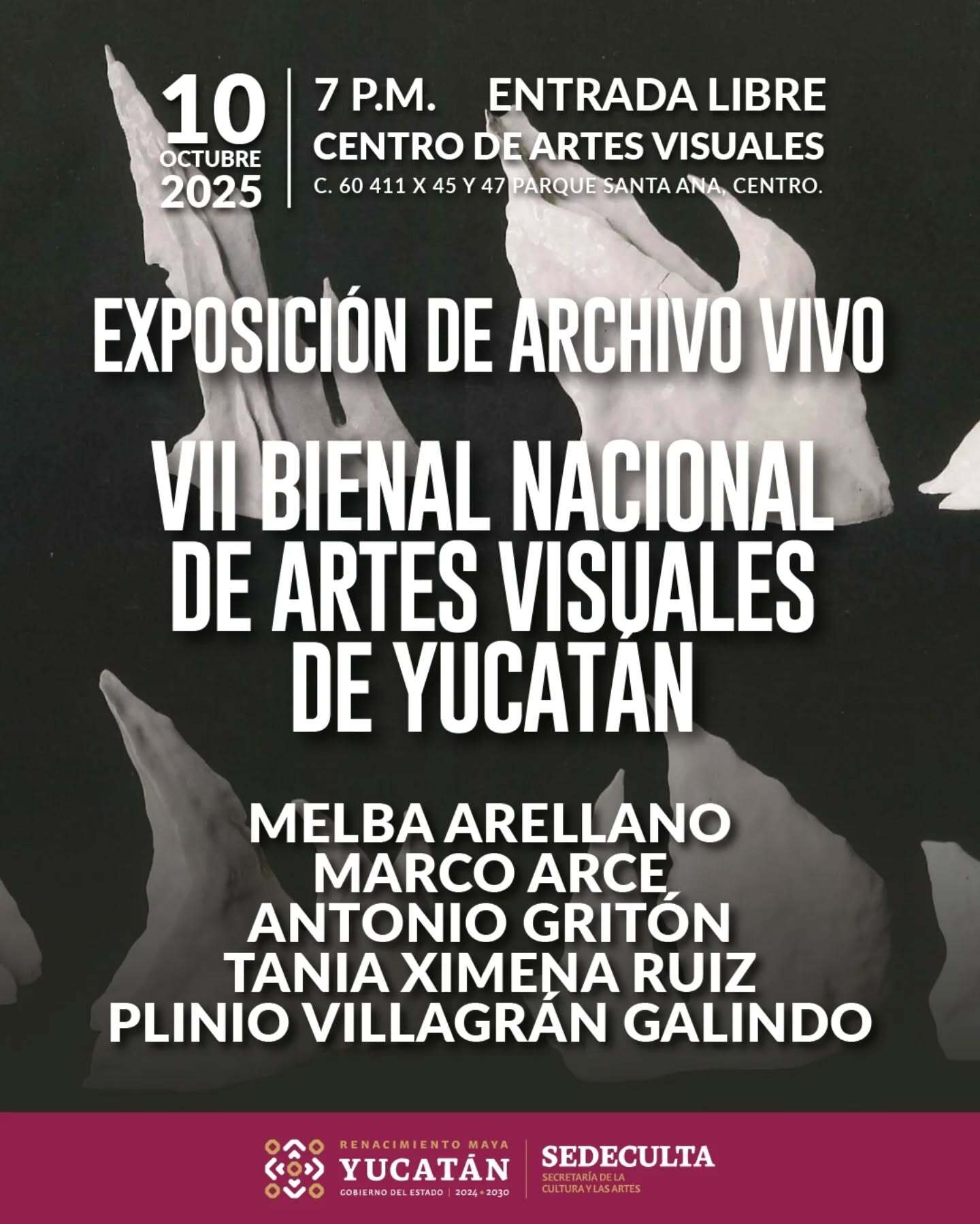 Archivo Vivo: VII Bienal Nacional de Artes Visuales de Yucatán