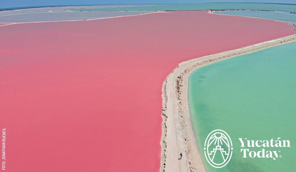 Un mundo color rosa: Las Coloradas