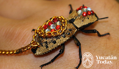 Maya Legends: The Princess and the Beetle