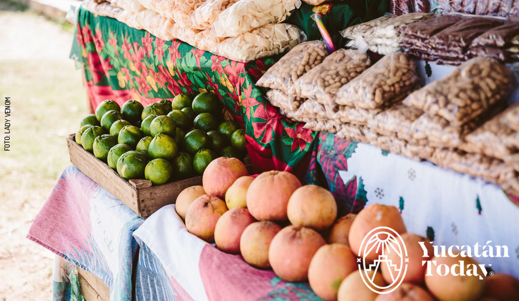 Muna, the highest mountain in Yucatan