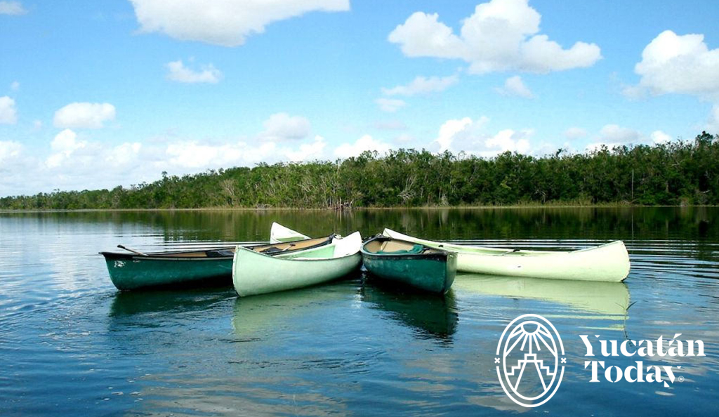 Punta Laguna Nature Reserve