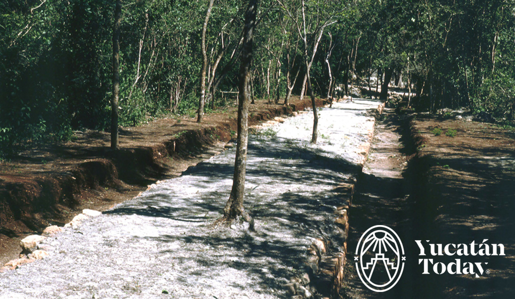 La Historia Detrás de los Caminantes del Mayab